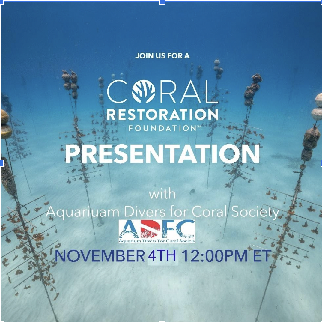 ADFC "Lunch Break" Webinar - Coral Restoration Foundation - Aquarium ...